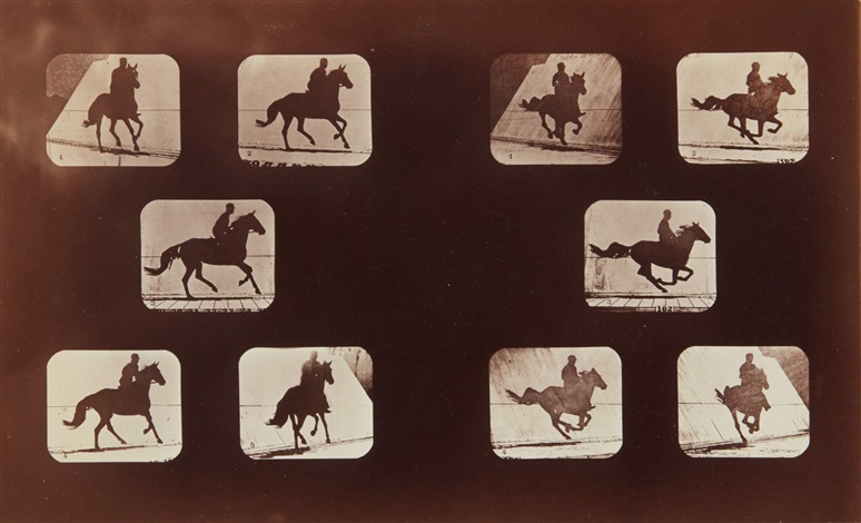 Running Horse and Rider plates 159-160 from The Attitudes of Animals in ...