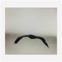 Michal Rovner | Artnet