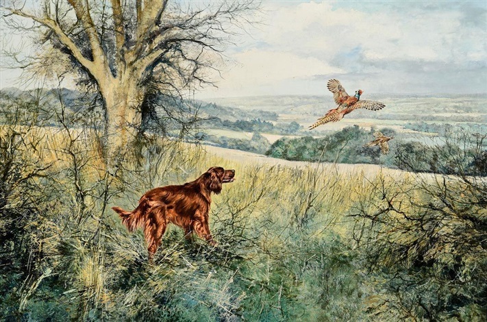 Irish Setter and Pheasant by Henry Wilkinson on artnet