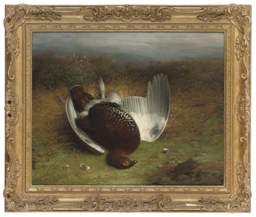 A dead grouse on a moor by Abel Hold on artnet