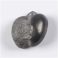 Sarah Lucas | Artnet