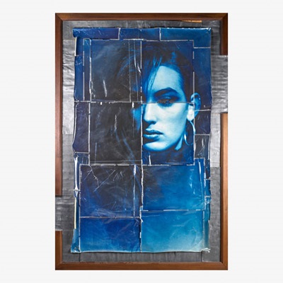 Blue Lisa by Doug and Mike Starn on artnet