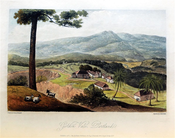 Picturesque Tour of the island of Jamaica, from drawings made in the ...