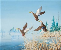 Angus Shortt | Artnet
