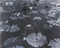 Larry Beck | Artnet