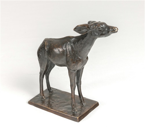 Okapi by Jan de Schutter on artnet