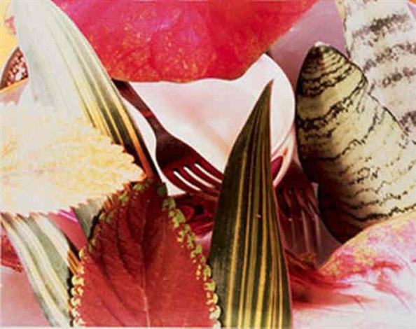 Untitled by Jan Groover on artnet