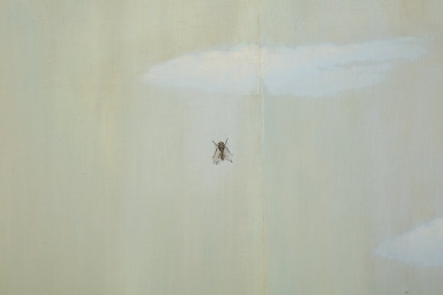 Sky with Fly by Willard Dixon on artnet