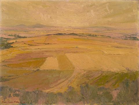 Overberg wheat fields by Piet (Pieter Gerhardus) van Heerden on artnet