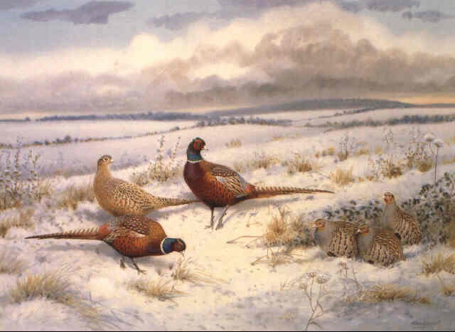 Pheasants and partridges-Winter by Richard Robjent on artnet