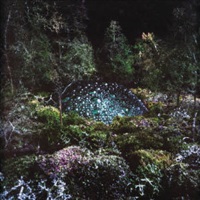 Jan Dunning | Artnet