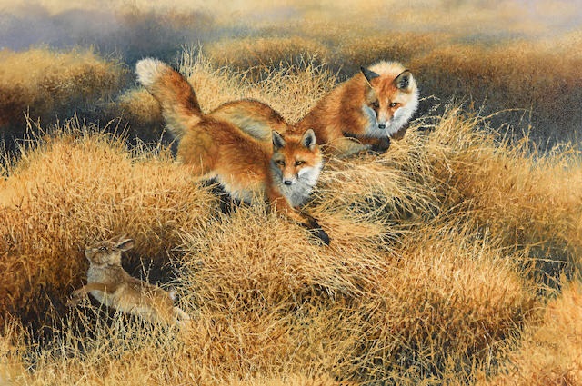 Red Foxes after a Rabbit by Bonnie Marris on artnet