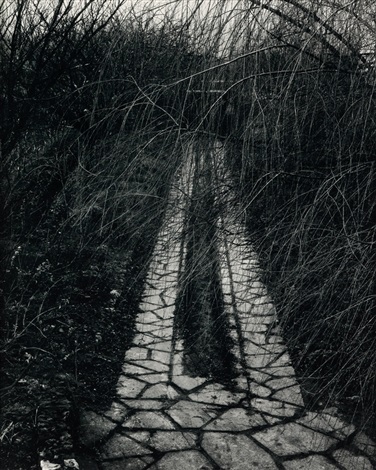 Paul Strand Portfolio Two--The Garden by Paul Strand on artnet
