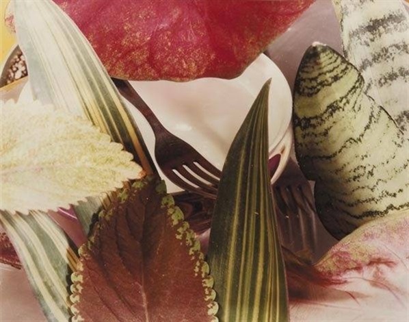 Untitled from The Kitchen by Jan Groover on artnet