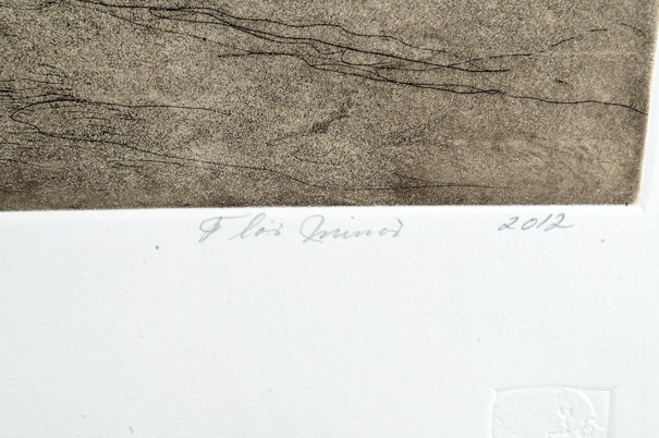 Dimensiones Opuestas 9 works by Flor Minor on artnet