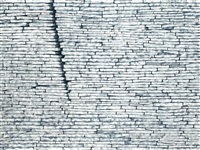 Fery Eka Chandra | Artnet