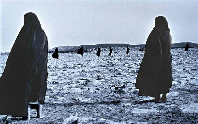 Untitled Rapture series by Shirin Neshat on artnet