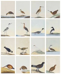 William Lewin | Artnet