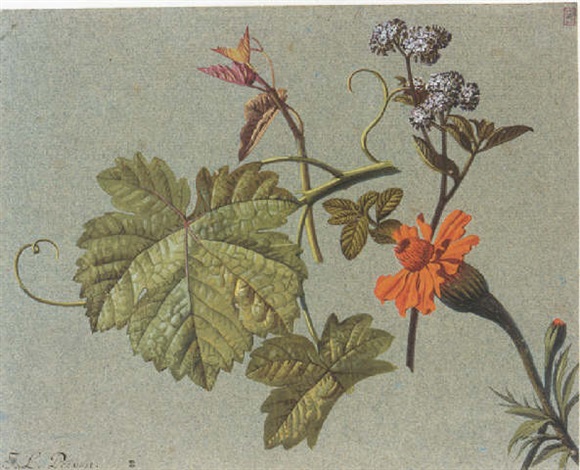 Flowers and vineleaves by Jean Louis Prévost on artnet