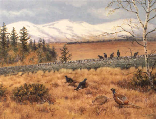 Blackgame and pheasants-Montriethmont Moor by Richard Robjent on artnet