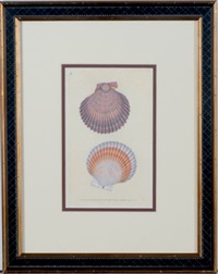 Edward Donovan | Artnet