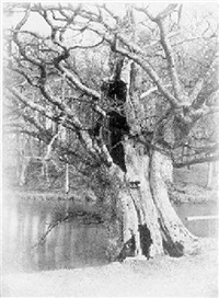 Augusta (Lady) Mostyn | Artnet