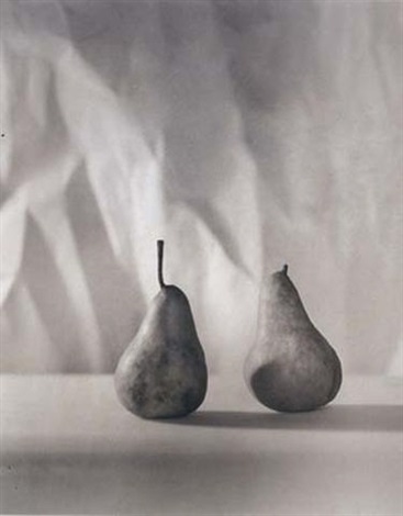 Untitled by Jan Groover on artnet