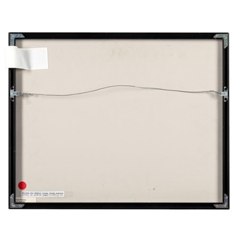 Miocene Era Habitat Group, North America by Michael Rothman on artnet