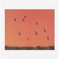 Michal Rovner | Artnet