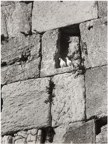 Doves in the Western Wall by David Rubinger on artnet