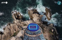 Pedro Pardo | Artnet