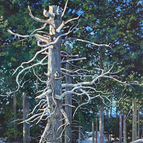 Last Snow Raven Rocks by Danny Robinette on artnet