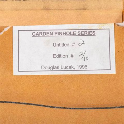 UNTITLED 2, GARDEN PINHOLE SERIES by Douglas Lucak on artnet