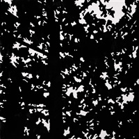 Dan Bergstein | Artnet