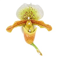 David Freda | Artnet