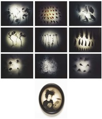 Barbara Ess | Artnet