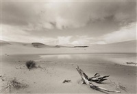 Goodwin Harding | Artnet