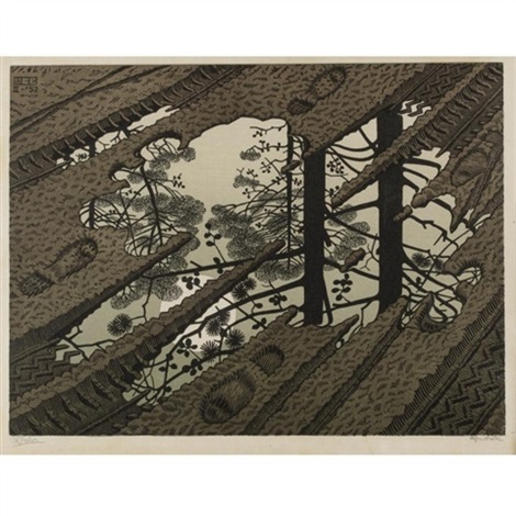 Puddle by M.C Escher on artnet