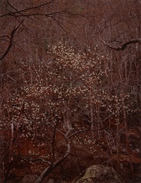 Eliot Porter | Artnet