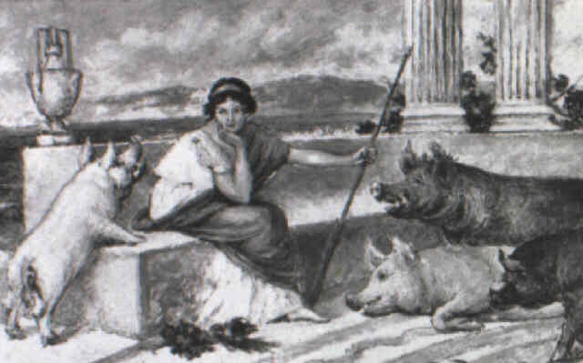 Circe And Swine