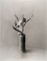 Miguel Angel Arguello | Artnet