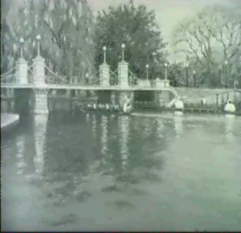 SWAN BOATS ON THE PONDA VIEW OF THE PUBLIC GARDEN, BOSTON by E. Joseph ...