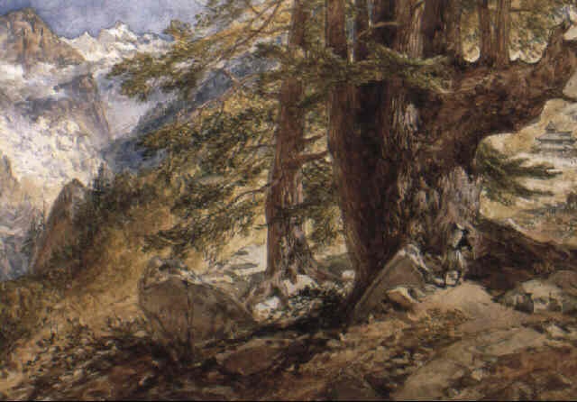 Large deodar tree in the Himalayas by William Simpson on artnet