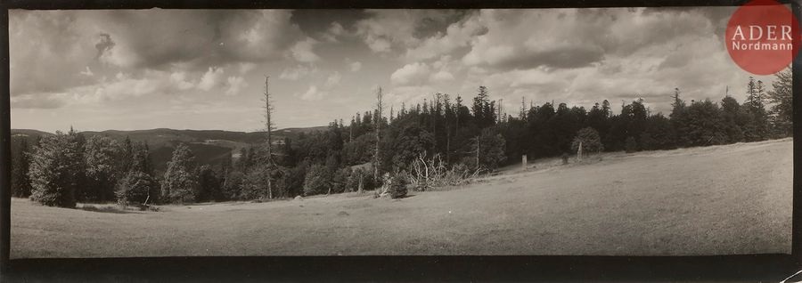 Panorama de la forêt de Mionsi by Josef Sudek on artnet