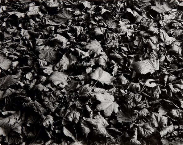 Chicago by Harry Callahan on artnet