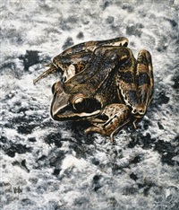 Christophe Drochon | Artnet