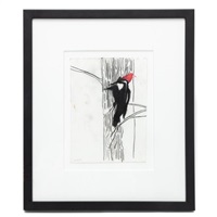 Todd Murphy | Artnet