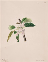 Emily Stackhouse | Artnet