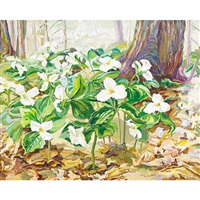 Grace E. Coombs | Artnet