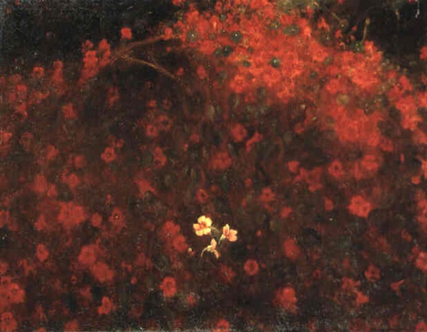 Het bloemvisioen Oostindische Kers by Jacobus van Looy on artnet